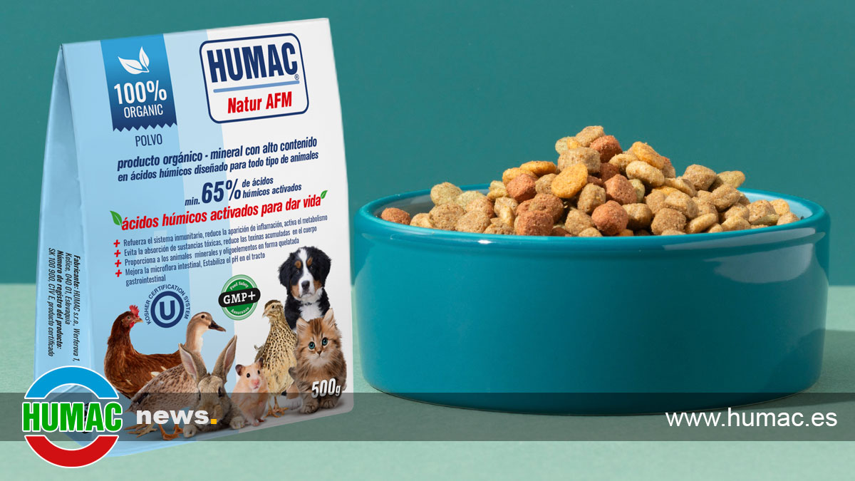 Dieta para mascotas, ¿Cómo funcionan? ¿Son buenas? - Humac