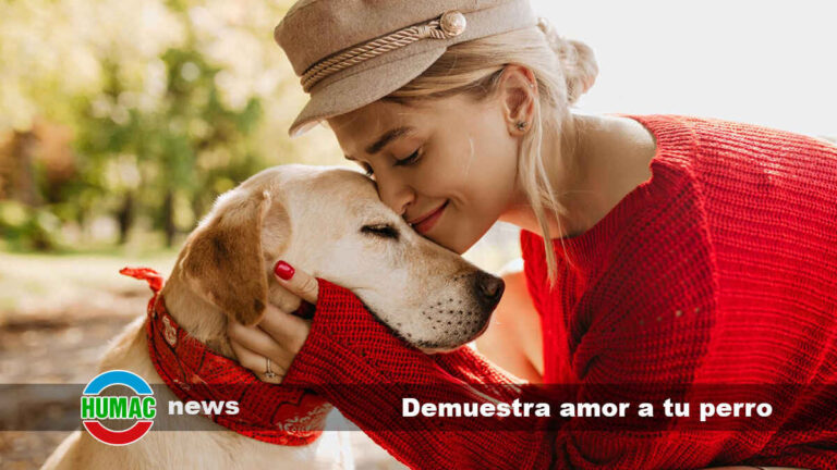 Cómo demostrarle amor a tu perro de manera efectiva - Humac