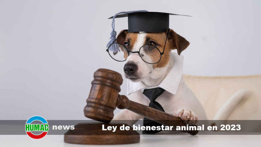 Ley de bienestar animal en 2023 - Humac